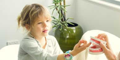 Functional Well-being – Myofunctional Therapy and Breathing Coaching